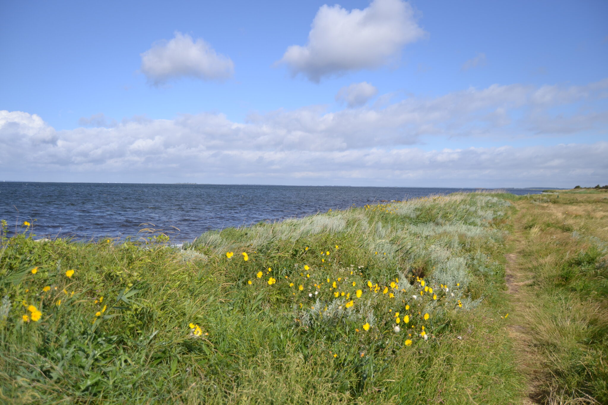 Strynø – eine kleine Insel in der dänischen Südsee – Den Norden entdecken
